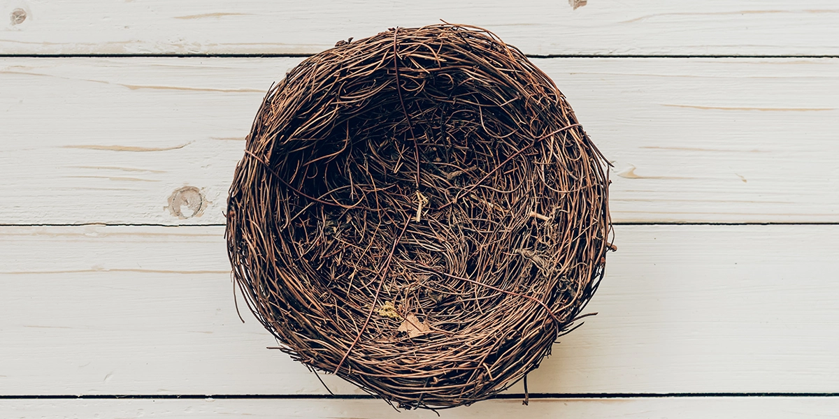 When The Nest Is Empty Combating Depression In Empty Nest Syndrome