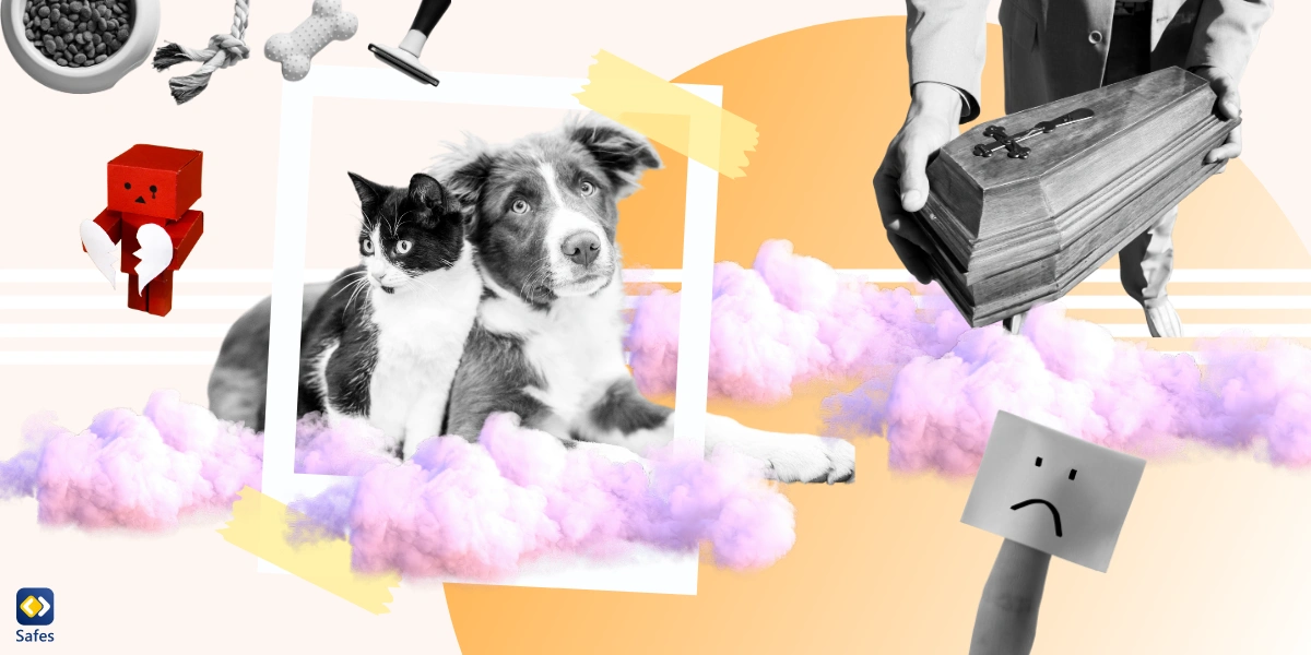 Saying Goodbye: A Guide to Navigating Pet Loss as a Family